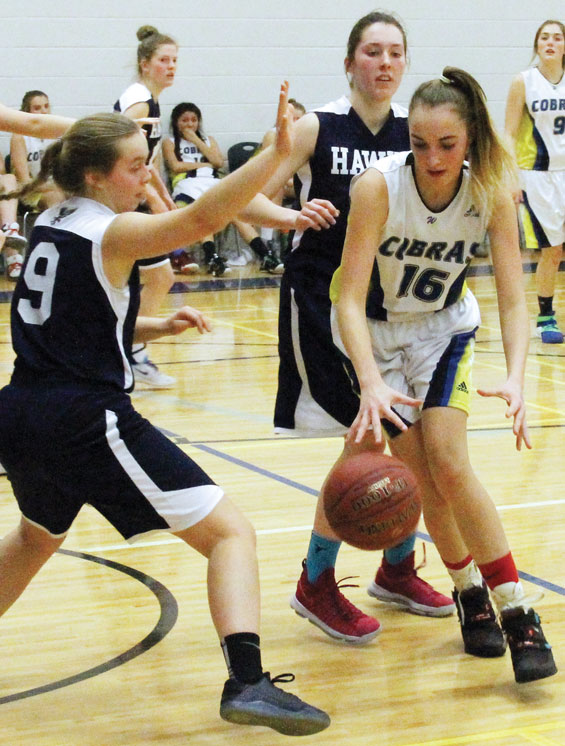 Cobra girls host annual basketball tournament | Claresholm Local Press