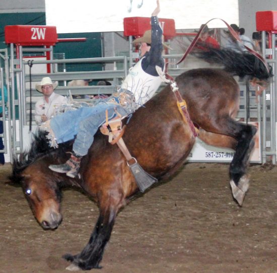 Stavely Indoor Rodeo thrills the crowds | Claresholm Local Press