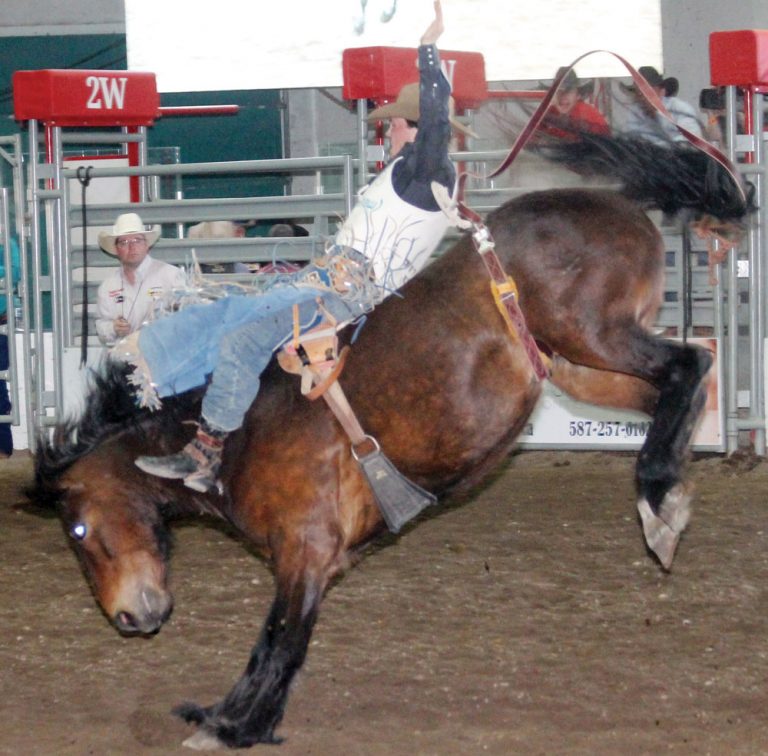 Stavely Indoor Rodeo thrills the crowds | Claresholm Local Press