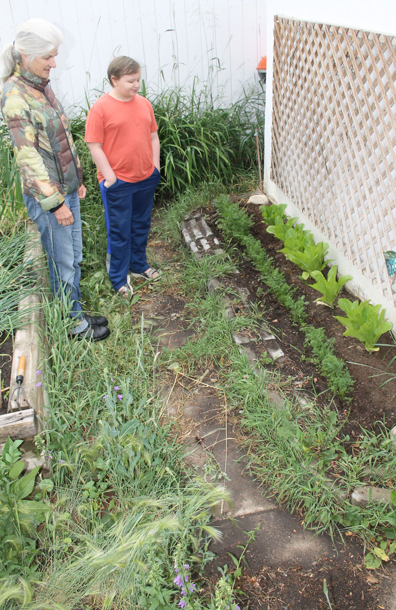 Bench show judging | Claresholm Local Press